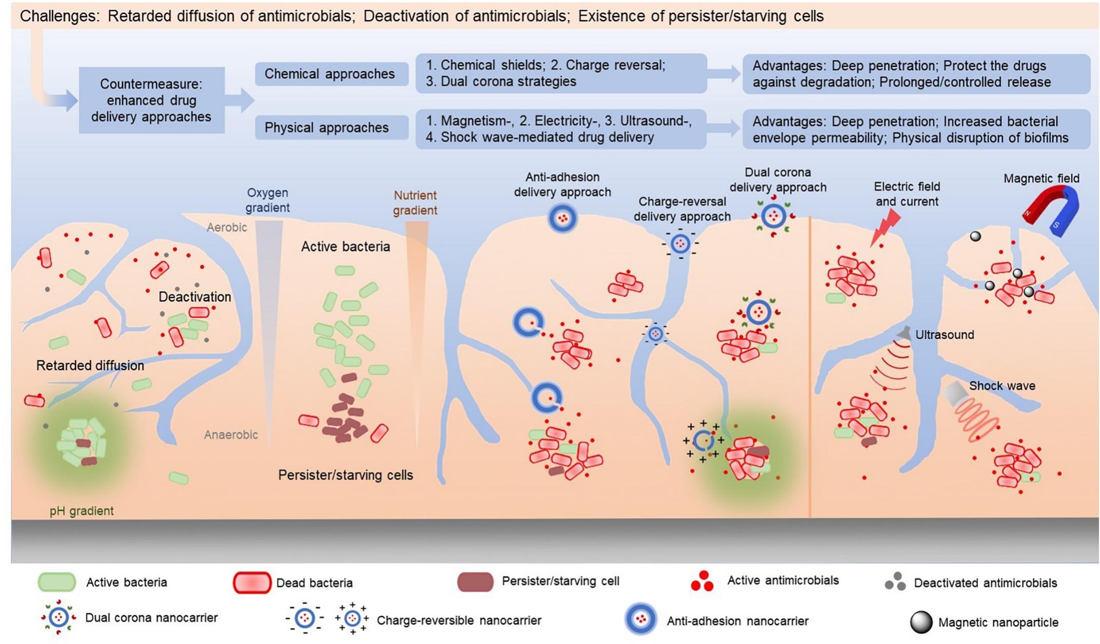 Drug delivery approaches for enhanced antibiofilm therapy-杜建忠教授课题组主页